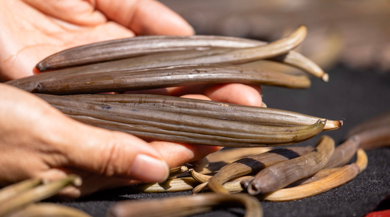 Vanilla Beans, Extract & Powder Recipes | Native Vanilla