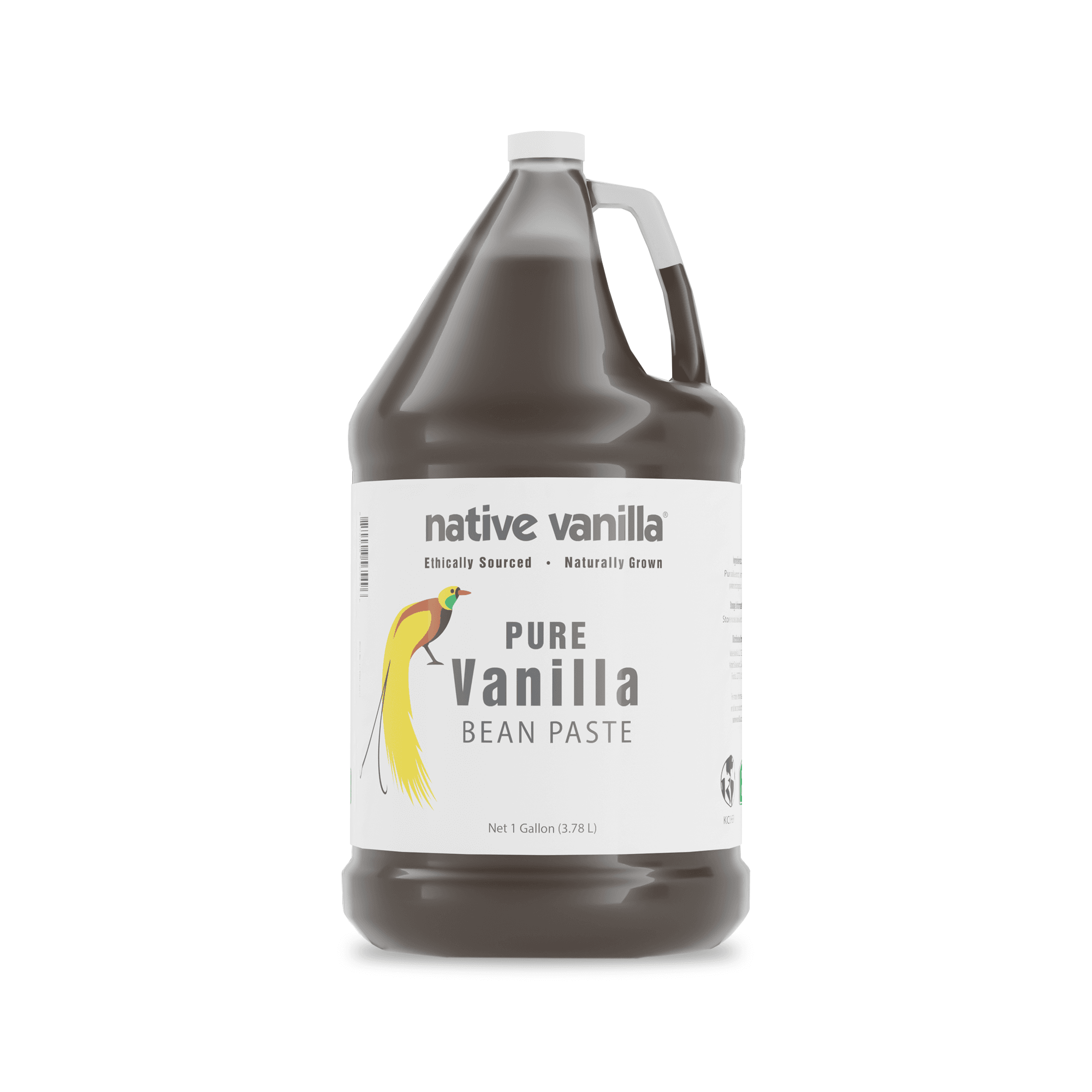 Native Vanilla's Pure Vanilla Bean Paste 4oz